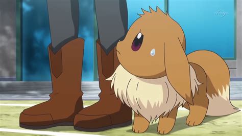 Eevee Is Sad R Eevee