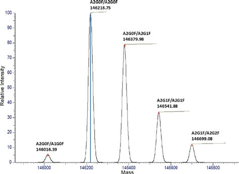 deconvoluted mass spectrum for nivolumab at 25 µg ml showing the mass