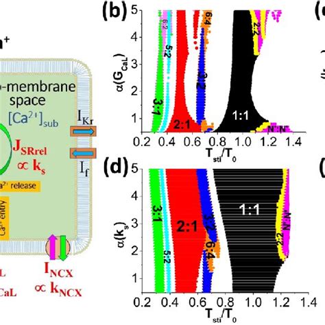 Parametric Modulation In The Phase Locking Range A Schematic Of The Download Scientific