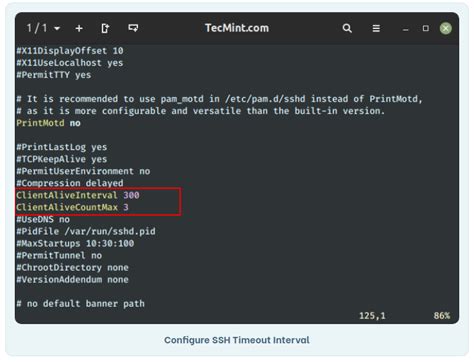 如何修复 Ssh Client Loop Send Disconnect Broken Pipe Error 数据科学工厂 博客园