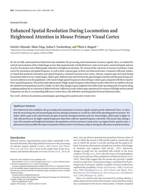 Pdf Enhanced Spatial Resolution During Locomotion And Heightened