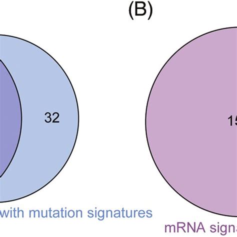 Comparison Between Drugs With Gene Signatures And Mutation Signatures