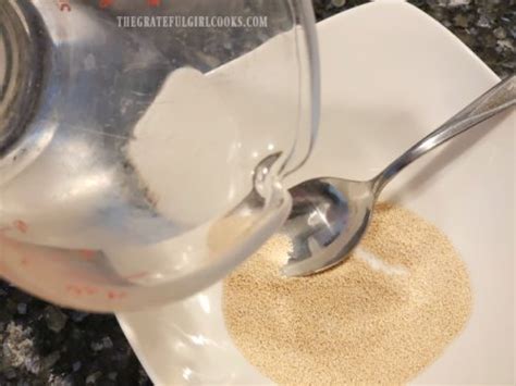How To Test Yeast For Viability The Grateful Girl Cooks