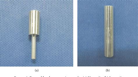 Table 1 From Elastic Modulus Of Osteoporotic Mouse Femur Based On Femoral Head Compression Test