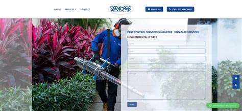 7 Best Experts To Call On For Mosquito Control In Sg 2025