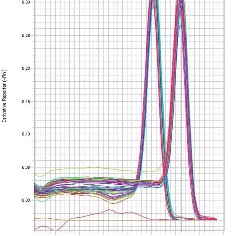 Fluorescence Amplification Plot Of Foxp3 Gene Mrna Expression In