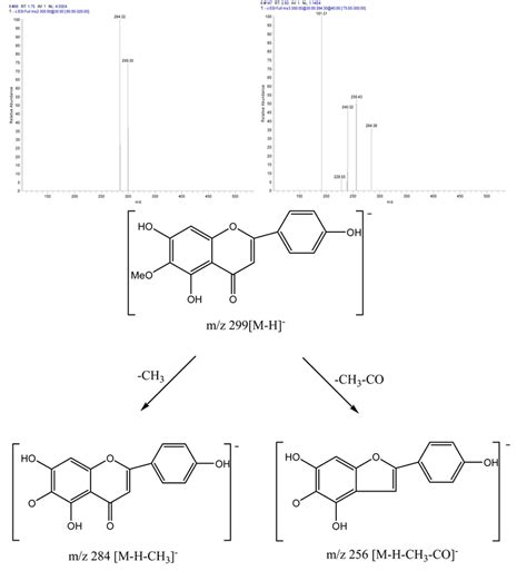 The Mass Spectrogram And The Structure Analysis Of The Compound Download Scientific Diagram