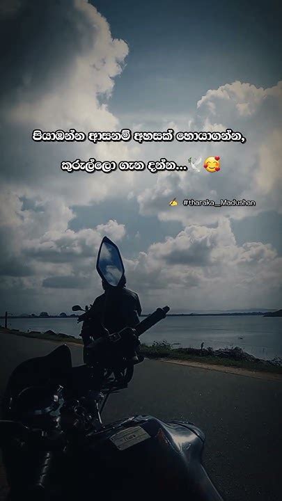 පියාඹන්න ආසනම් අහසක් හොයාගන්න කුරුල්ලො ගැන දන්න 🕊️🥰 Youtube