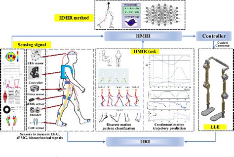 Figure 5 From Human Lower Limb Motion Intention Recognition For Exoskeletons A Review