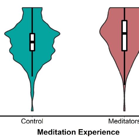 Experienced Meditators Have Higher Trait Mindfulness Observe Facet Of