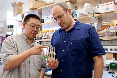 Male Female Ring Finger Proportions Tied To Sex Hormones In Embryo May Offer Health Insights