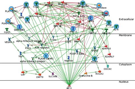 Functional Network Of 15 Genes Marked With Solid Grey Circles That