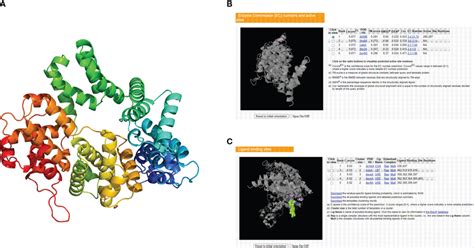 A Alphafold Database And Pymol Software Predictions Of The Tertiary