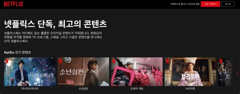 넷플릭스 Pc버전 다운로드 방법 Blt Library