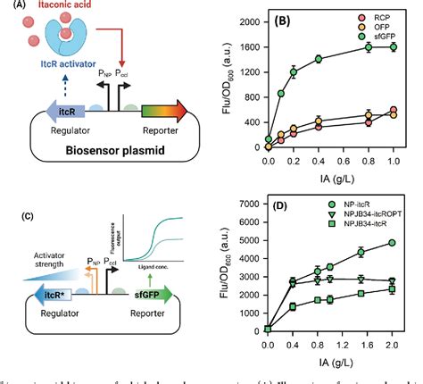 Figure 1 From Tunable T7 Promoter Orthogonality On T7rnap For Cis Aconitate Decarboxylase
