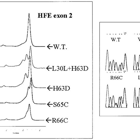 Dhplc Elution Profiles And Dna Sequencing Of The Identified Mutants In