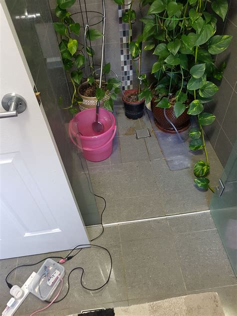 Logical Thinking Plant Watering System Using Raspberry PI