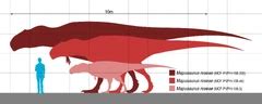 Mapusaurus Dinopedia Fandom