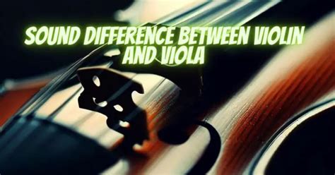 Sound Difference Between Violin And Viola All For Turntables