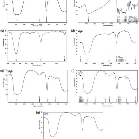 The Scanning Electron Microscopy Sem Of Nio Sirna Dox Download