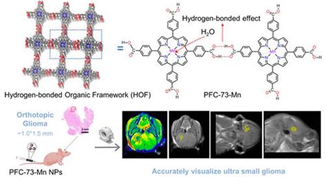 氢键有机框架螯合锰用于癌症的精确磁共振成像诊断nano Letters X Mol