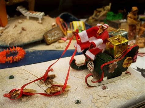 The Cockroach Hall Of Fame Museum In Plano Texas Novelty Christmas