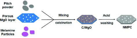 Schematic Of The Process Of Nmpc Download Scientific Diagram