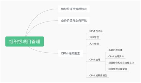 20 3 组织级项目管理 知乎