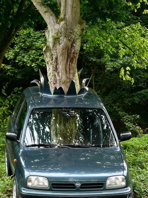 Baumauto ??? Autobaum Foto & Bild | sonstiges, witziges ;o), natur ...