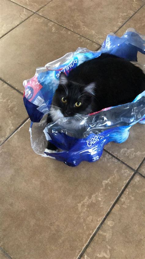 This Made Tuxs Day Scrolller This Made Tuxs Day Scrolller