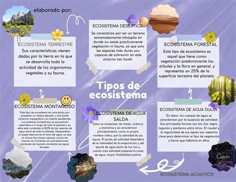 Componentes Principales De Un Ecosistema