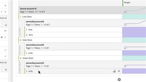 Use Arrays Of Objects Adobe Customer Journey Analytics