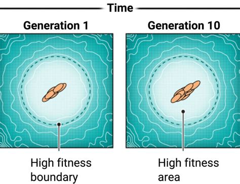 The Predictive Power Of Genetic Variation Science