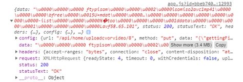 Vuejs Video Display Problem From Laravel Vuejs Stack Overflow