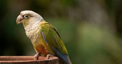 Snowflake And Tableau Techniques For Optimizing Performance And Cost By Tak Watanabe Medium