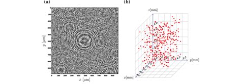 an example of the 3d particle field captured by holographic imaging