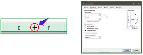Capítulo Domina las Filas y Columnas de Excel El Tío Tech