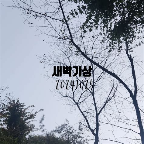 늦은새벽 추워지는 나와의 싸움이 일어난다 일어나자 ㆍ 좀만 더 누워있자 나의 첫번째 성공은 침대에서 일어나기