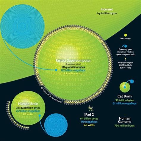 Free Human Brain Vs Computer Essay Examples And Topic Ideas