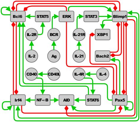 Networking Python Using Networkx On Biological Networks For