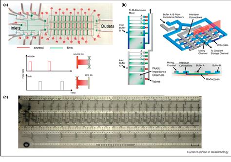 Figure 1 From Recent Developments In Microfluidic Large Scale