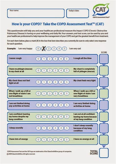 Cat Scores Copd Explained At Claire Fahey Blog