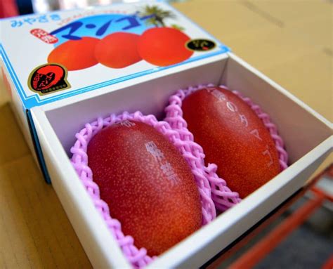 Exploring The 20 Most Expensive Fruits In The World
