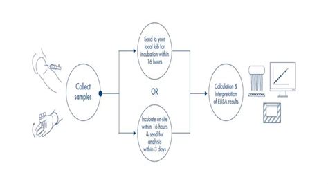 Tb Quantiferon Test Pptx