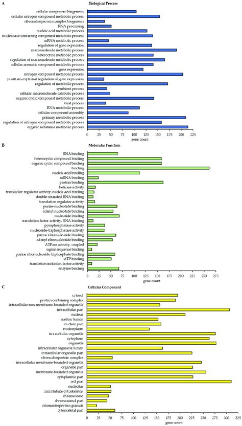 Gene Ontology Go Functional Annotation And Enrichment Analysis Of The
