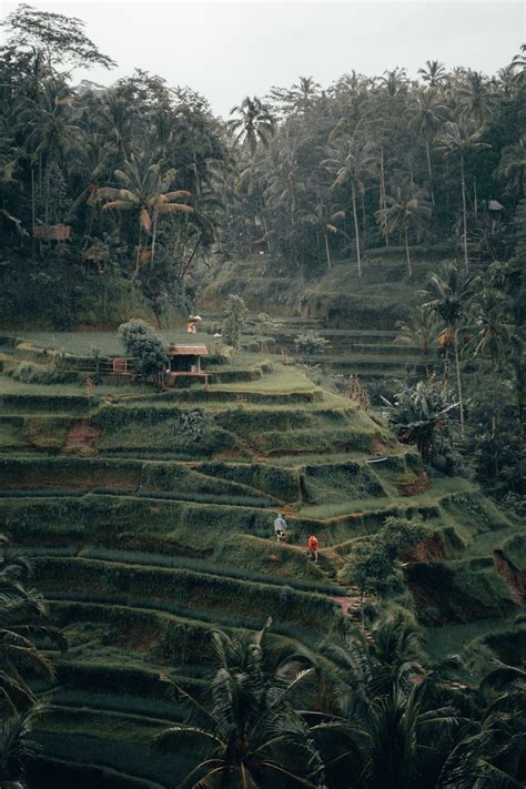 Bali Indonesia Wallpapers Wallpaper Cave