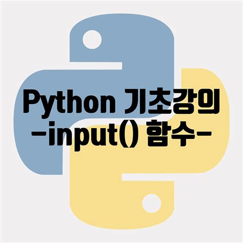 [python 기초강의] 사용자한테 입력받는 input 함수 제대로 알아보자