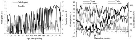 Daily Maximum Minimum Air Temperature And Relative Humidity Wind Download Scientific Diagram