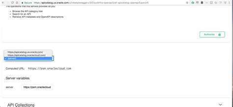 Provide An Easy Way To Enter Custom Url To Try It Feature · Issue 4735