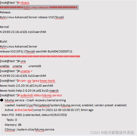 【操作指南】银河麒麟高级服务器操作系统内核升级——基于41990 17升级 技术分享 云服务器